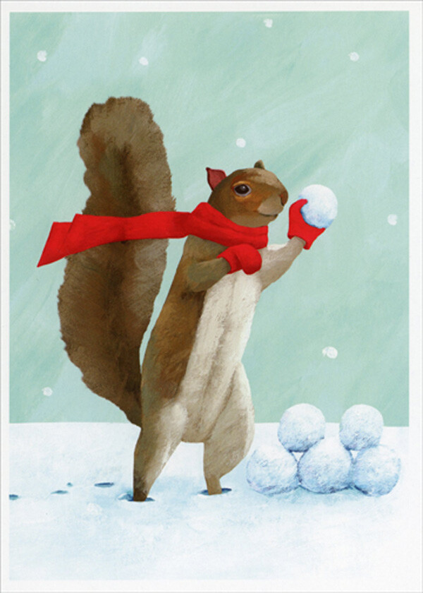 Snowball Fight Squirrel Box of 12 Funny / Humorous Christmas Cards | eBay