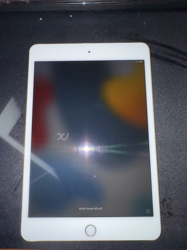 Apple iPad Mini 5 Wifi 7.9in 64GB - Good Conditions | eBay