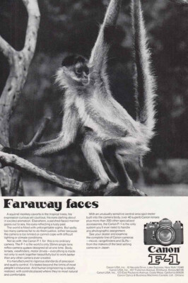 1974 Canon: Faraway Faces Squirrel Monkey Vintage Print Ad | eBay