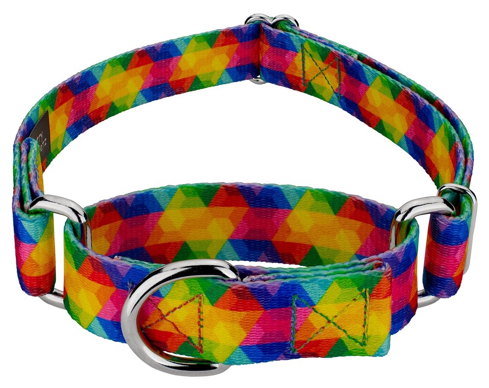 Country Brook Petz® Martingale Dog Collar - Groovy Collection | eBay
