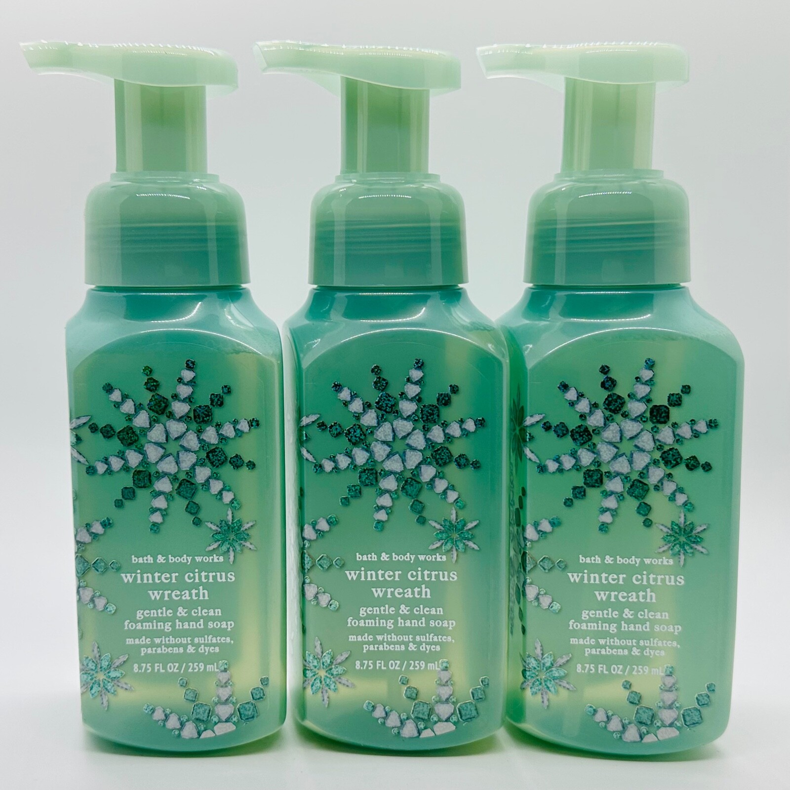 3 Bath & Body Works WINTER CITRUS WREATH Gentle Foaming Hand Soap 8.75 ...