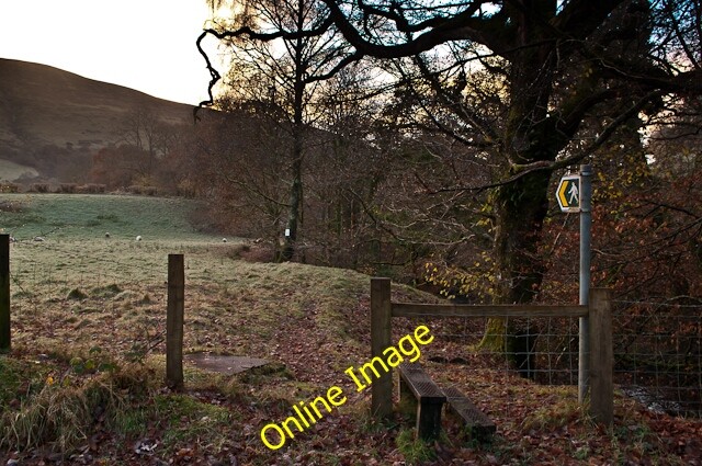 Photo 6x4 Footpath to nowhere Mallwyd The 1:25000 and 1:50000 maps show ...