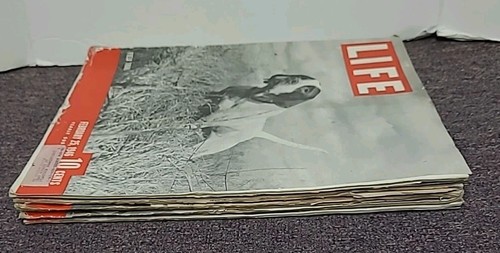 LIFE Magazine Lot of 5 From Feb to Dec 1946 10 cent and 15 cent Issues ...