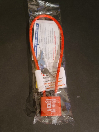 NEW IN PACKAGE Veteran Crisis Line Cable Gun Lock includes 2 Keys | eBay