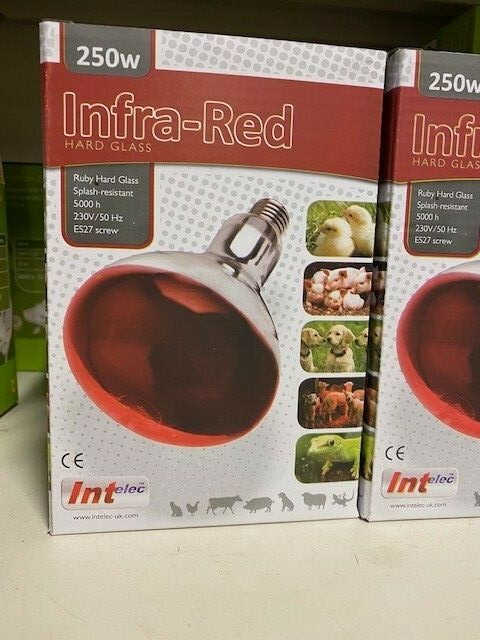 2 X INFRA RED HEAT BULBS LAMP RUBY 250w poultry lambs livestock cats ...
