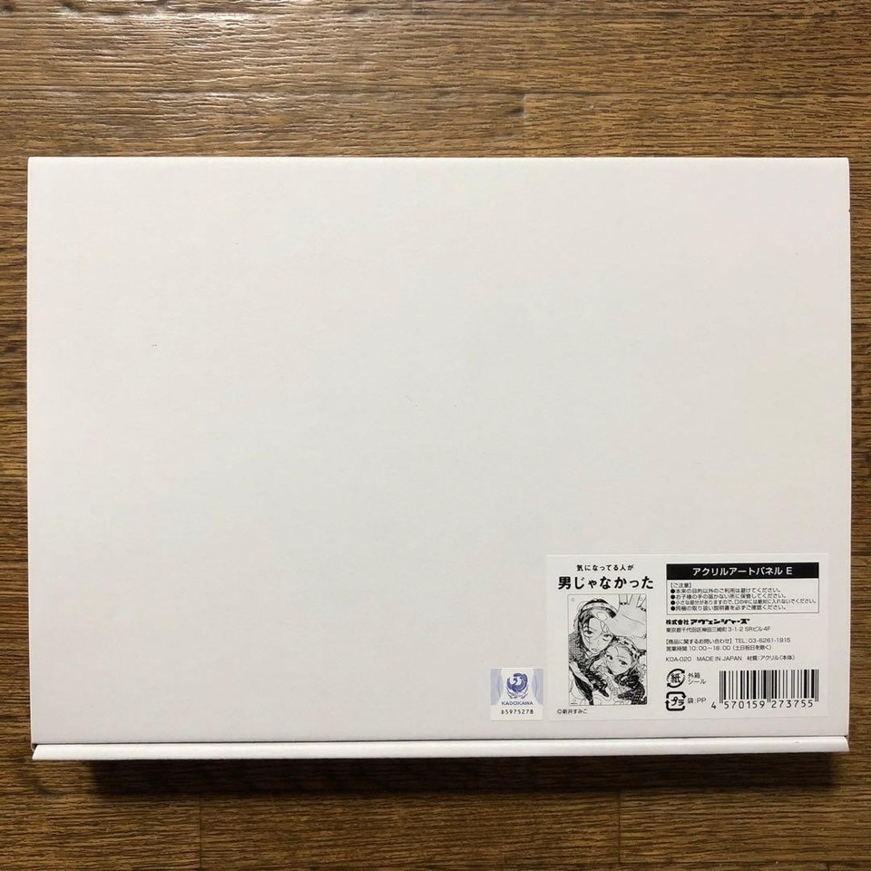 Kinioto Acrylic Art Panel E Tower Records Limited Edition 210x150mm New ...