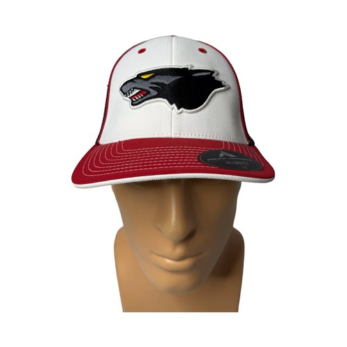 U.S. Airforce Wolfpack 331st TRS FLT 533 Training Squadron Hat Military ...