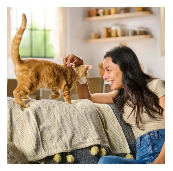 SET2 Meow Mix Tender Centers Dry Cat Food with Basted Bites Chicken ...