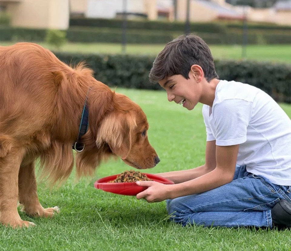 Large Soft Dog Frisbee – Flexible Durable Flying Disc for Fun Fetch ...