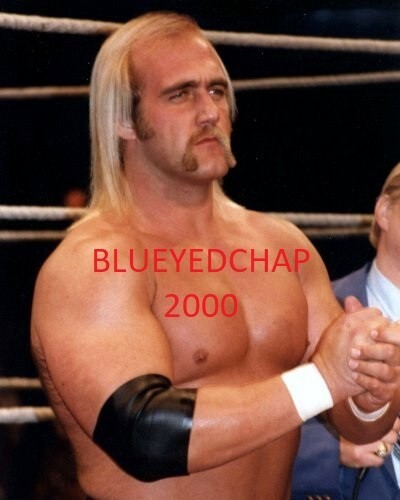 HULK HOGAN WRESTLER 8 X 10 WRESTLING PHOTO WWF WCW | eBay