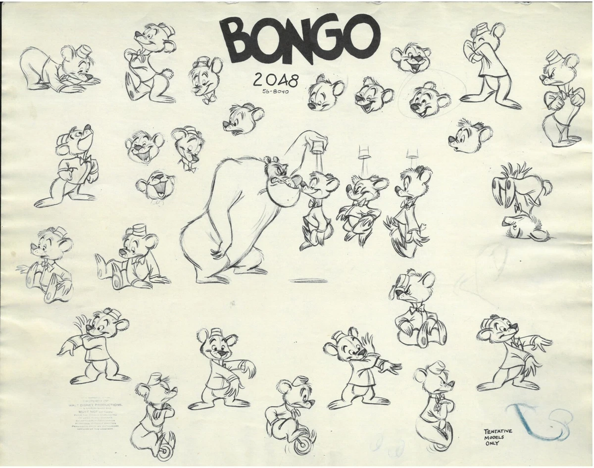 Bongo The Bear
