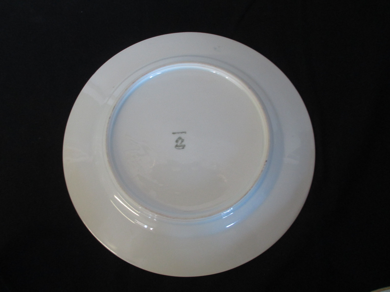 10" Epiag China White Dinner Plate w/Gold Rim made in Czechoslovakia | eBay