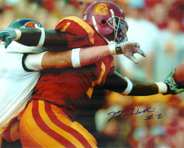 Mike Williams Usc
