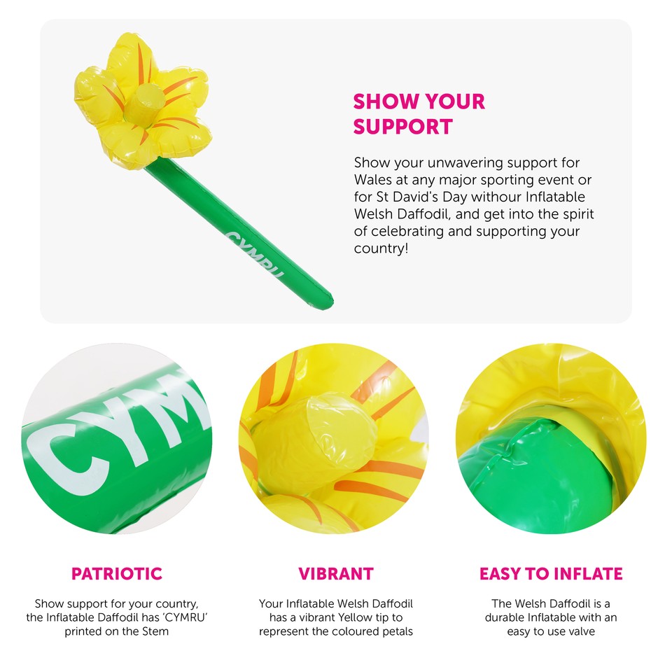 PACK OF INFLATABLE DAFFODIL 82CM WELSH PROP WALES RUGBY FOOTBALL CYMRU ...