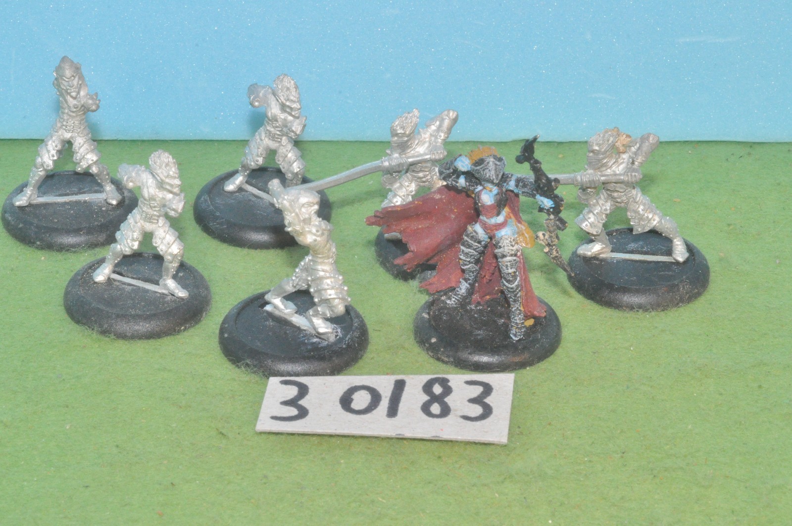 lylyth herald everblight nyss swordsmen 6 metal warmachine no cards ...