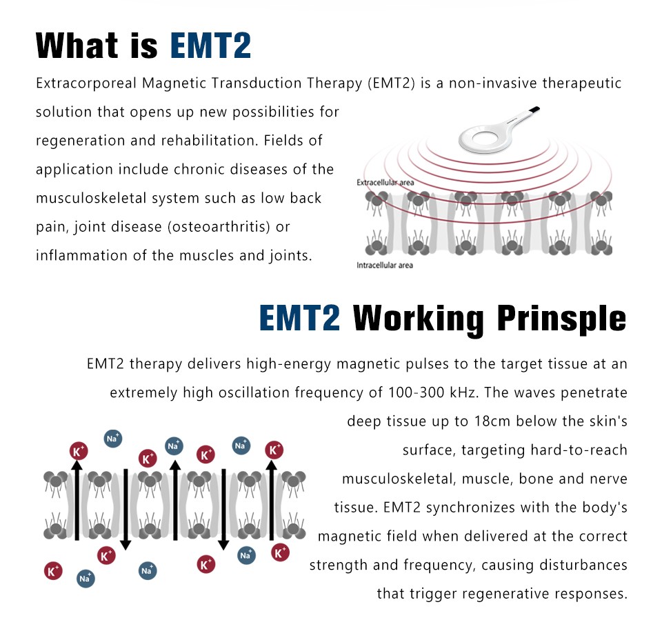 PEMF EMTT Magneto Magnetic Transduction Physio Therapy Machine Body ...