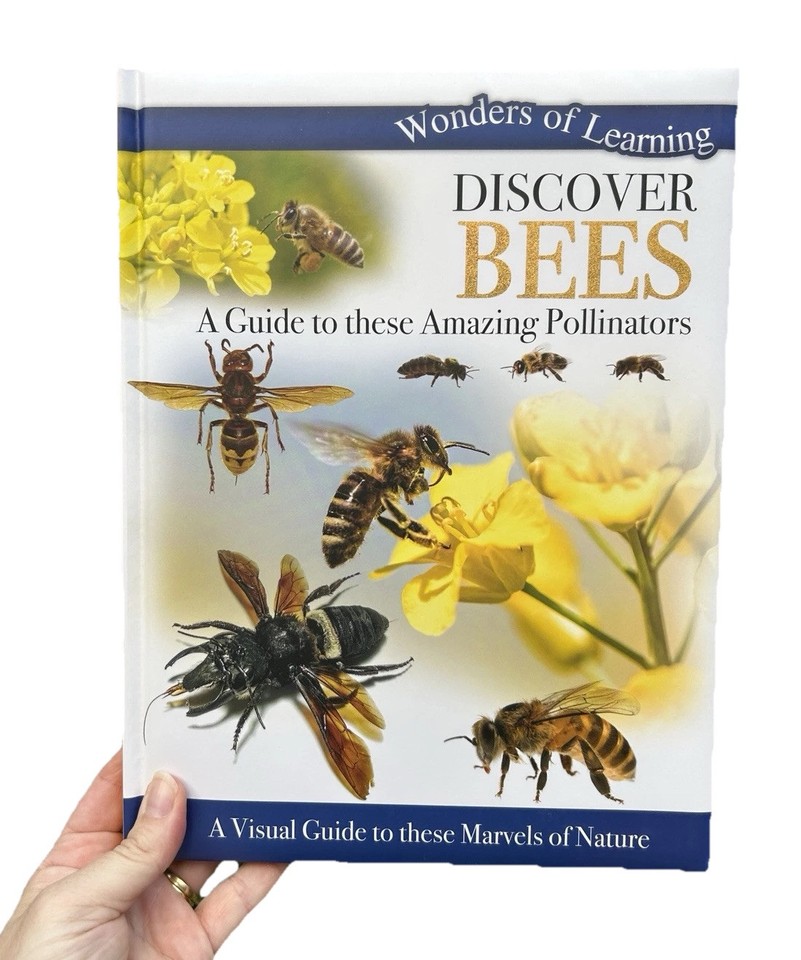 Wonders of Learning Discover Bees A Guide to these amazing Pollinators ...