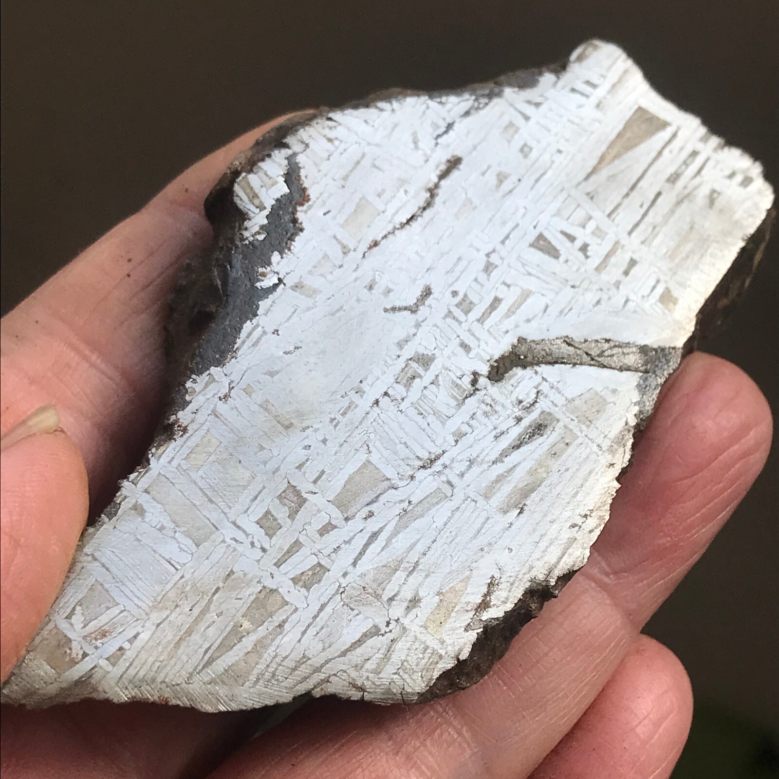 Natural Aletai Iron Meteorite 243.8 Grams Cut Slabs Etched Perfect ...