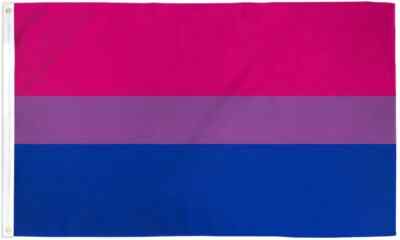 Bisexual 2x3ft Poly Flag LGBTQ Bisexual Bi Rainbow Queer Pride Month ...