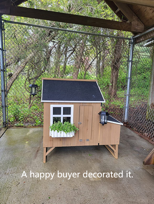 Chicken Coop Nest Box Backyard Poultry Hen House Huge 8 Bantams Extra ...