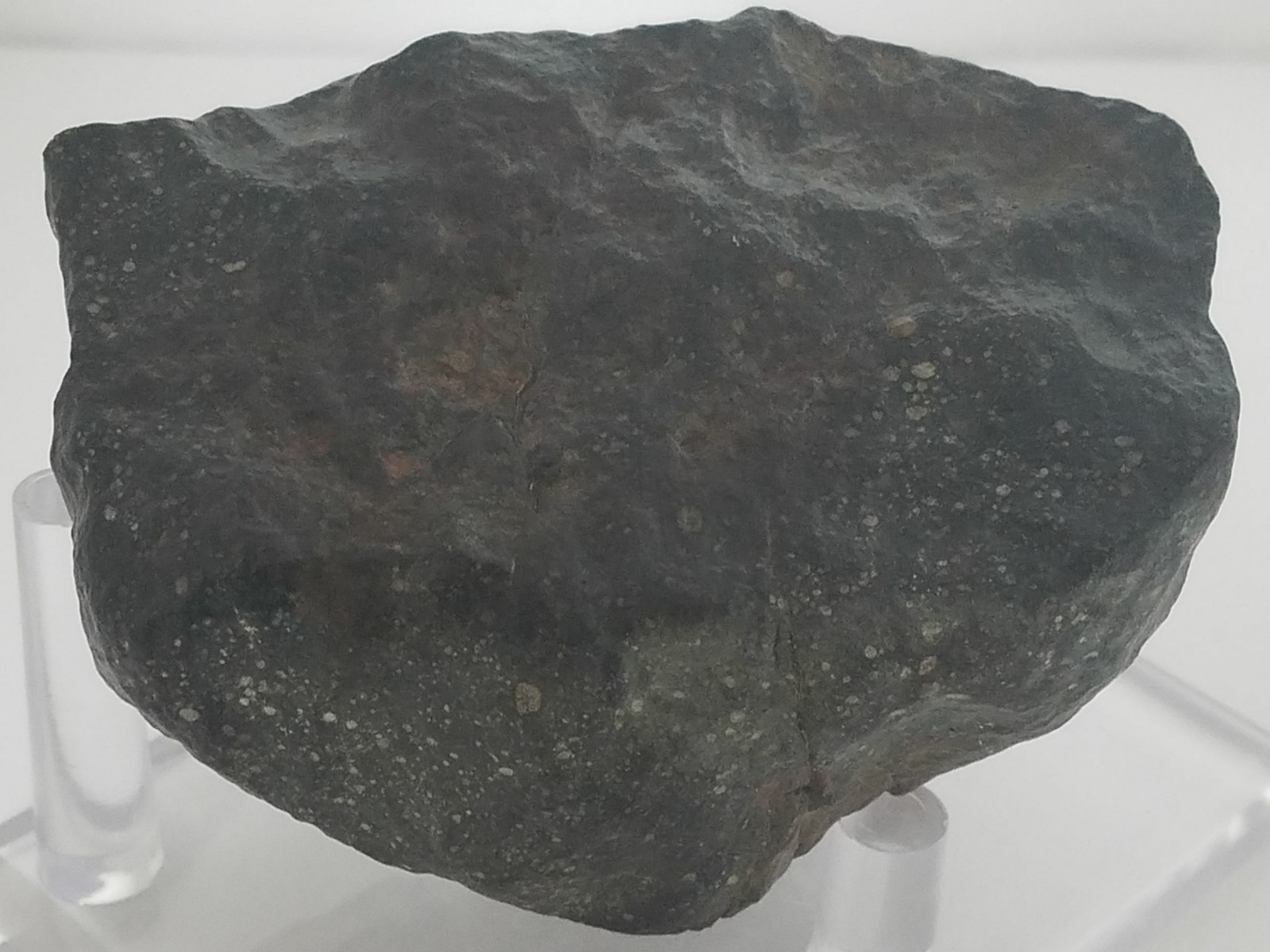 NWA 11721 Rumuruti chondrite (R3) 298 grams | eBay