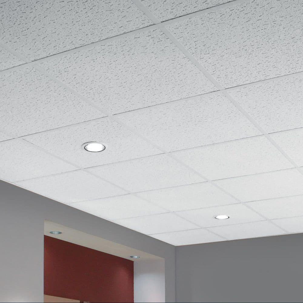 Armstrong CEILINGS Lay-in Ceiling Tile 2'x2' Fiberboard White (64-Sq-Ft ...