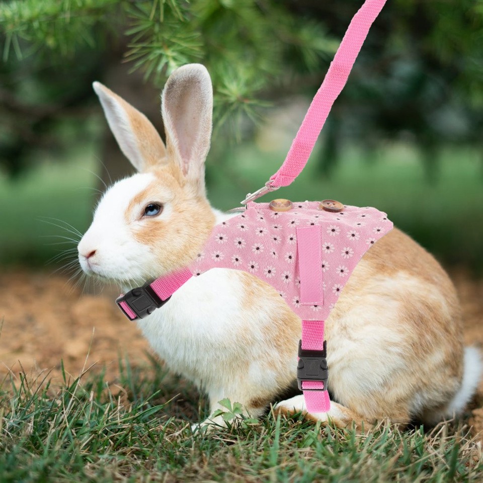 3 Sets Rabbit Harness and Vest Pet Leash Bunny Outfits for Rabbits ...