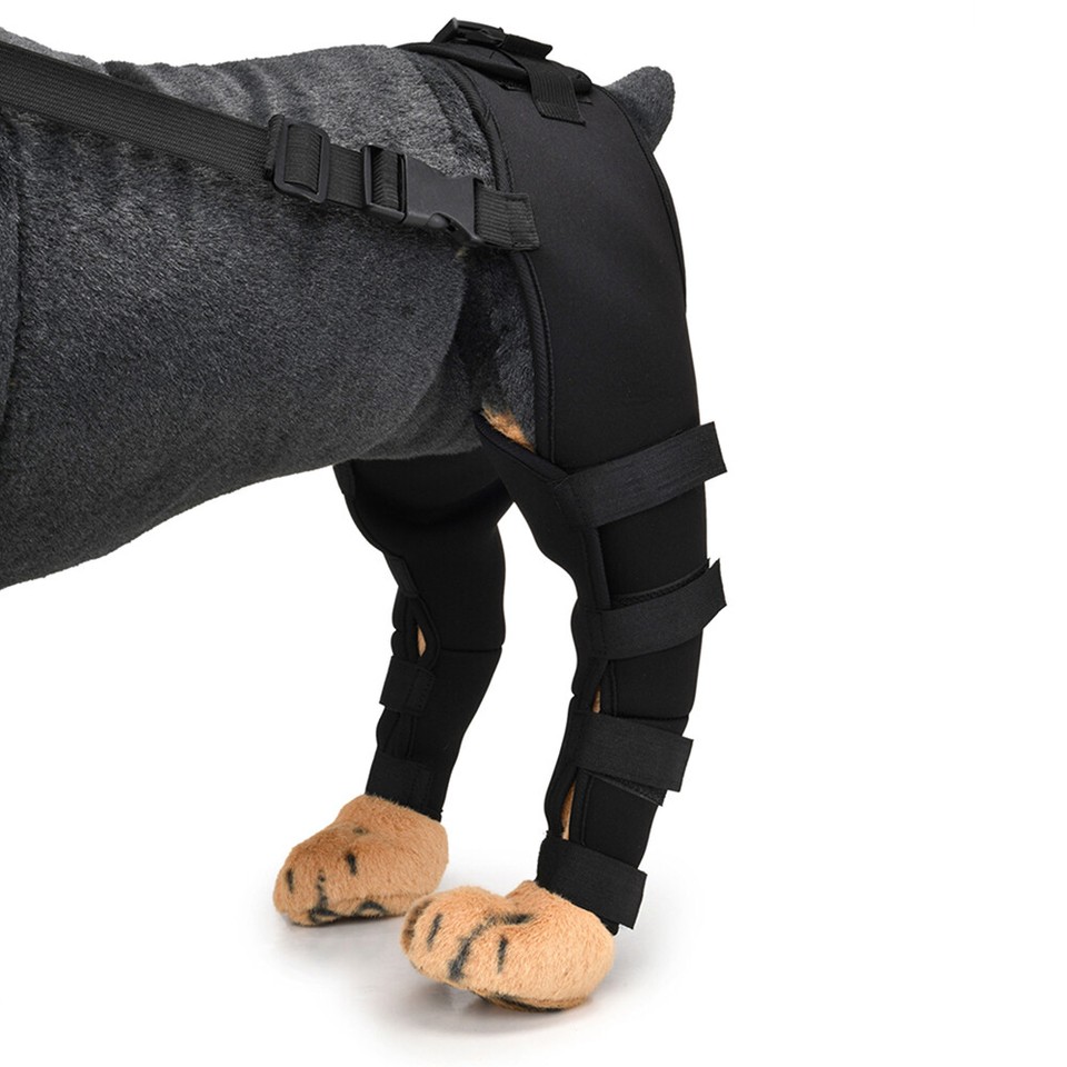 Dog Rear Leg Brace Support Joint Knee Hind Wrap Compression Pet Injury ...