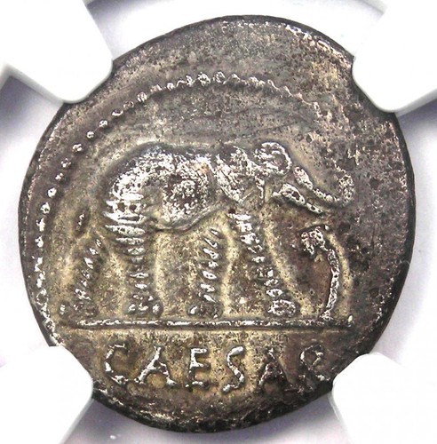 Julius Caesar AR Denarius Silver Elephant Roman Coin 49 BC - Certified ...