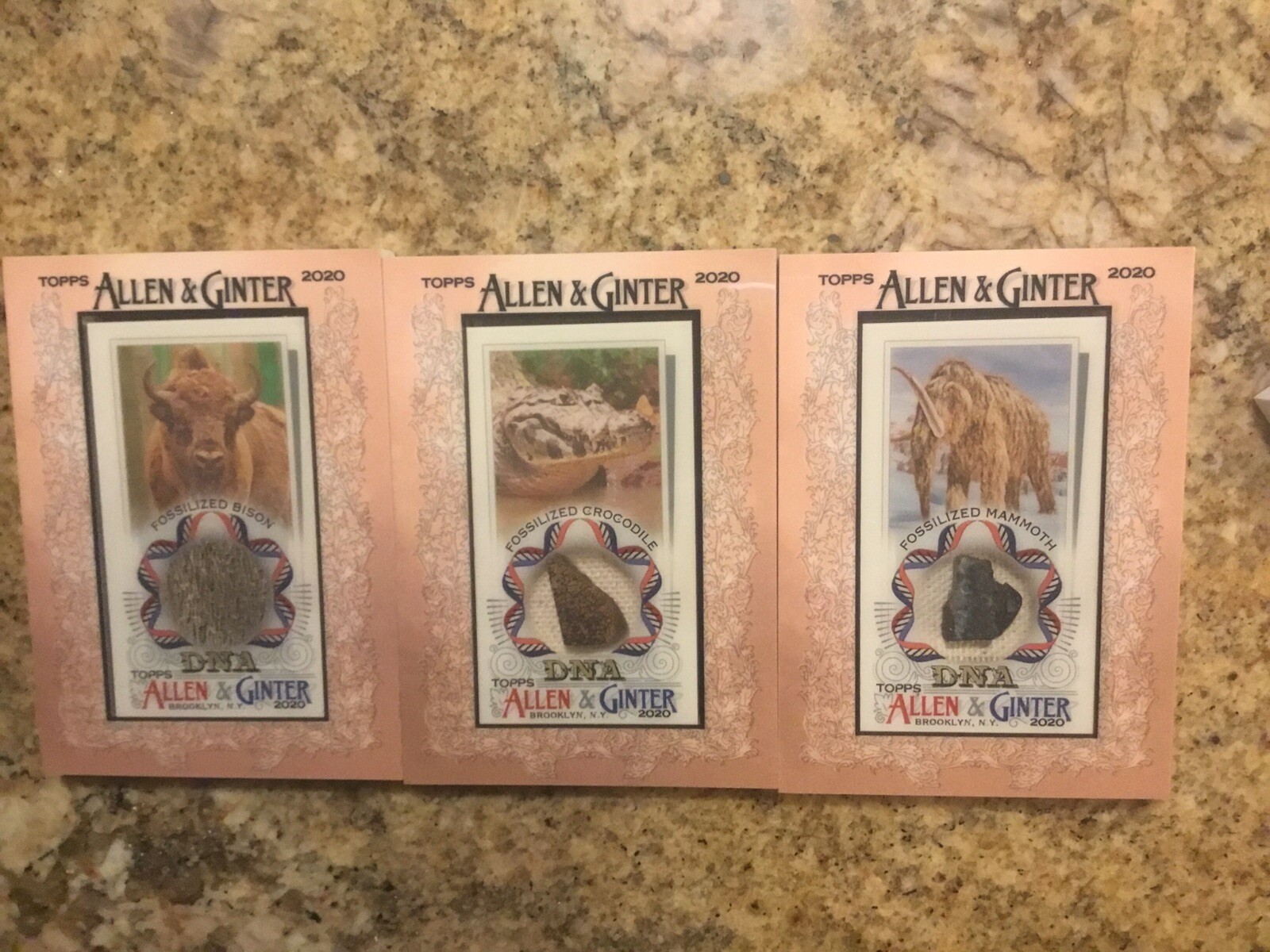 2020 Topps Allen & Ginter DNA RELICS COMPLETE SET (9) SEE LIST | eBay