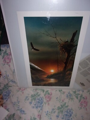 "Flying Free" eagle print by Terry Redlin,open edition,last one | eBay