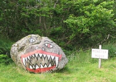 Photo 6x4 Midges can be a problem here! Ardtoe Painted boulder to ...