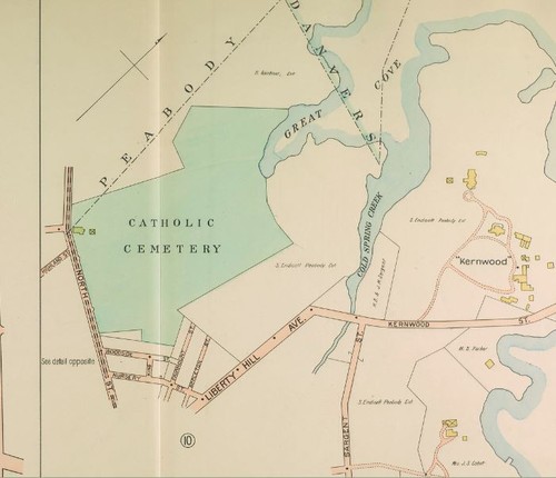 1911 SALEM MASSACHUSETTS CATHOLIC CEMETERY GREAT COVE TO NORTH ST PLAT ...