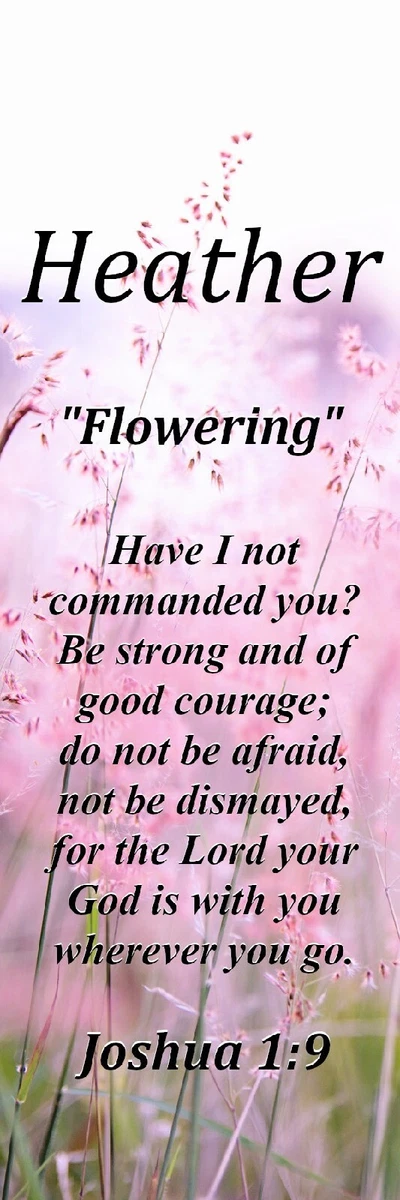 Meaning Of Name Heather