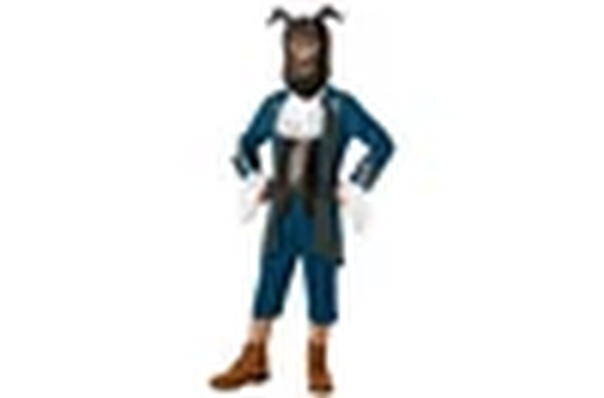 Disney Beast Live Action Deluxe Kids Boys Dress Up Party Costume Size L ...