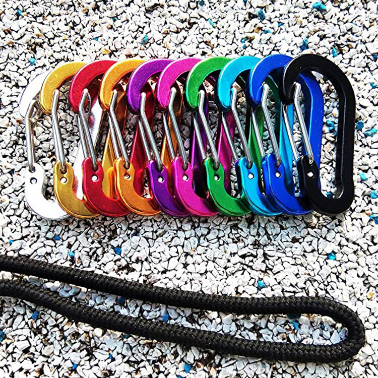48Pcs Small Carabiner Snap Hook D-Ring Key Chain Clip Hiking Camping ...