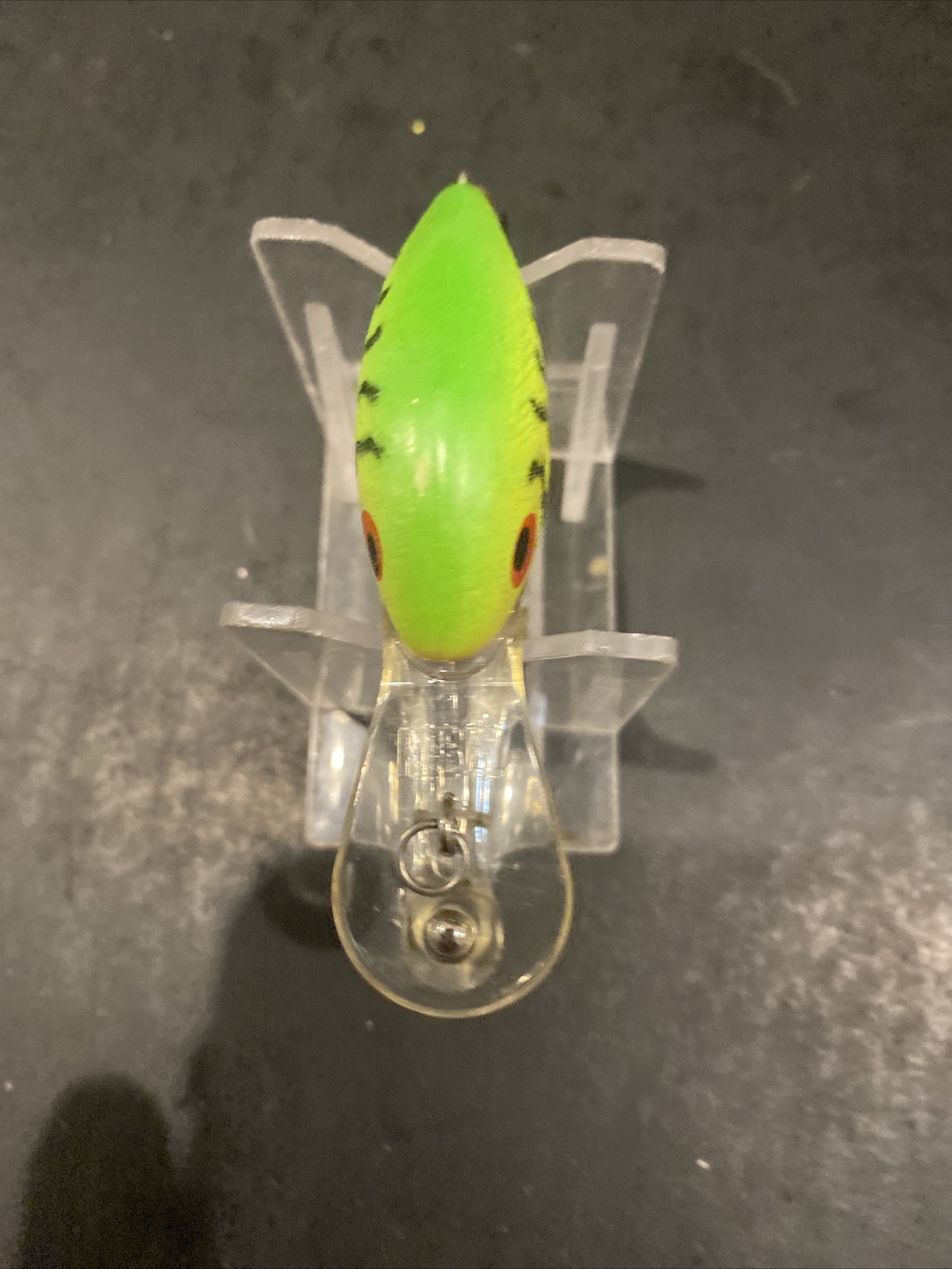 Rebel Double Deep Wee R Green Back Chart Orange Belly Tiger Stripes | eBay