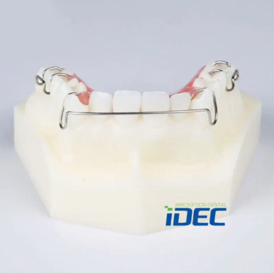 Dental Model Top teeth REMOVABLE Hawley Retainer Model Orthodontic ...