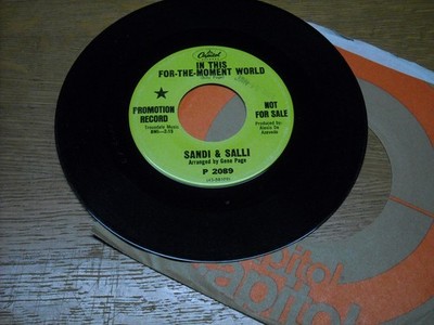 45 RECORD. SANDI & SALLI. IN THIS FOR MOMENT WORLD / DON'T COUNT THE ...