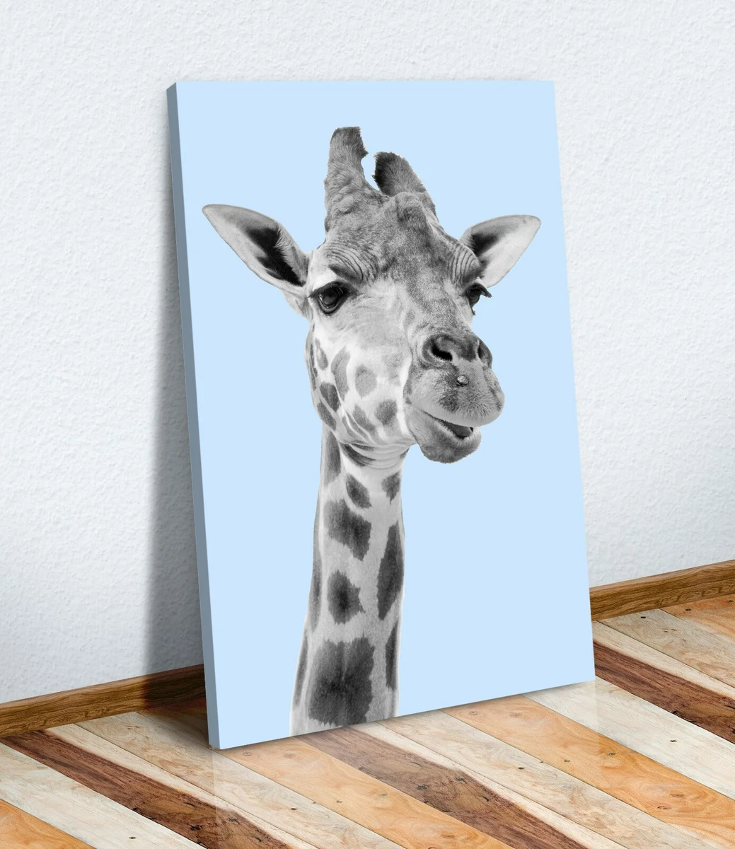 Baby Blue Giraffe Print