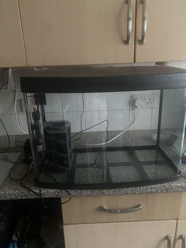 Fish Tank | eBay UK
