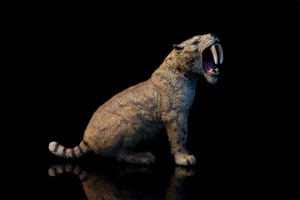 TNG Machairodus Smilodon Model Saber-toothed Tiger Animal Figure Toys ...