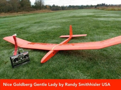 Gentle Lady / Carl Goldberg ~ 2m RC Model Glider - Laser-cut Balsa Wing ...
