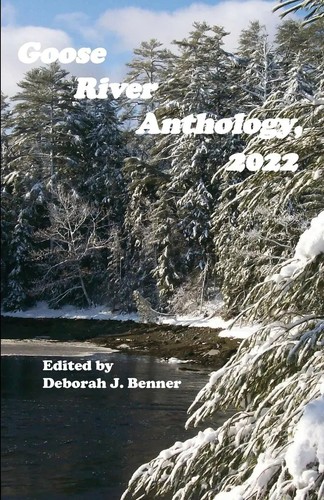 Deborah J Benner | Goose River Anthology, 2022 | Taschenbuch | Englisch ...