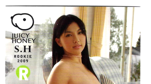 2009 JAPAN Telstar MINT Co JH Collection SAORI HARA Rookie Card 12 | eBay