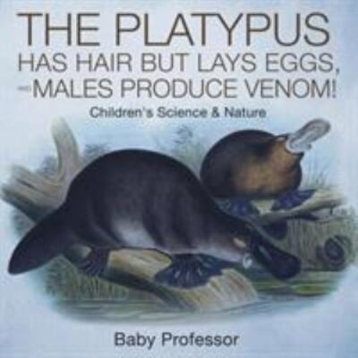 The Platypus Has Hair But Lays Eggs, and Males Produce Venom! Children ...