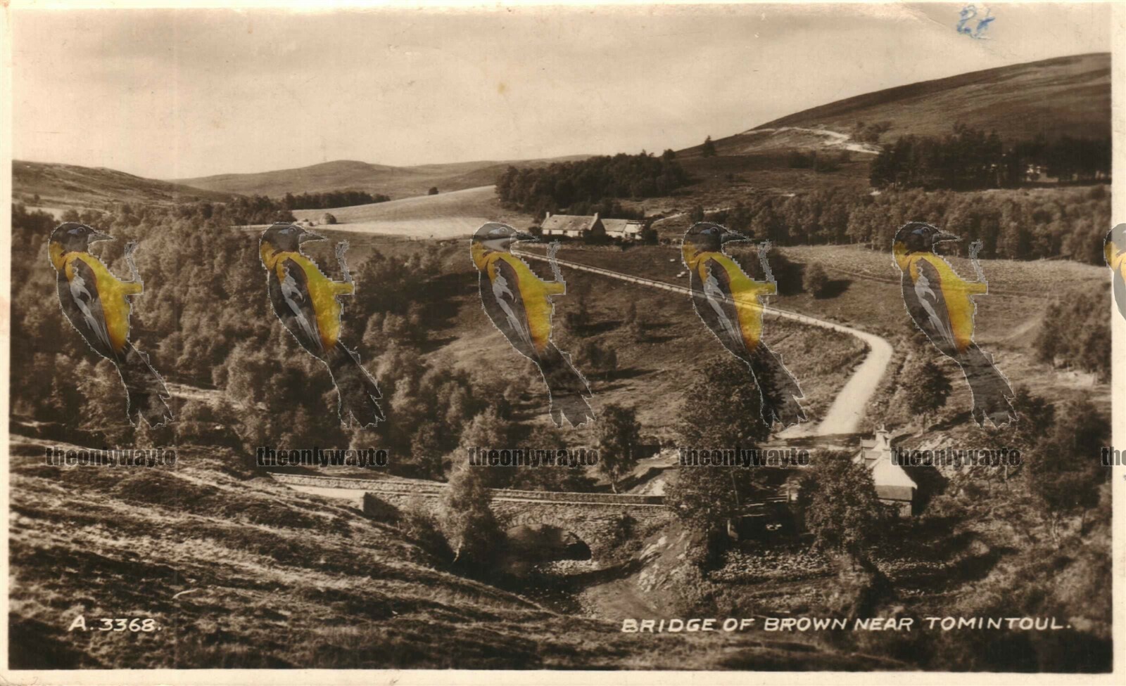 Bridge of Brown, Nr Tomintoul, Scotland, RP Valentines Postcard | eBay UK