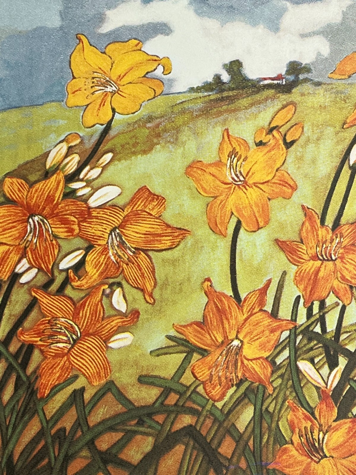 Fernand Vergucht "Lilies" Offset Lithograph - Hand Signed - HC Edition ...