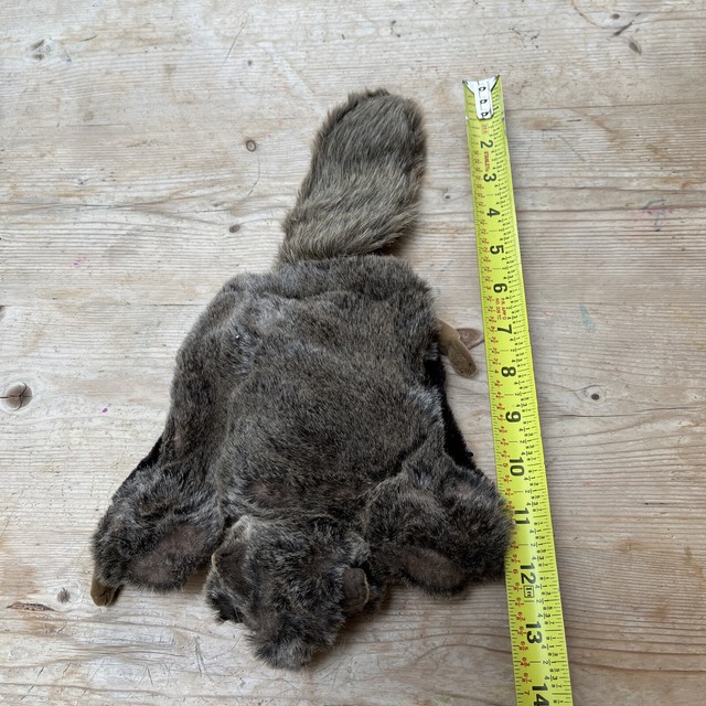 Folkmanis Puppets 2580 Flying Squirrel Hand Puppet Plush for sale ...