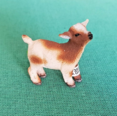 Schleich 13716 "Capretta nana" Animali Fattoria" - NUOVO | eBay